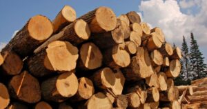 7 Reasons Red Grandis Timber is the Best Choice for Windows