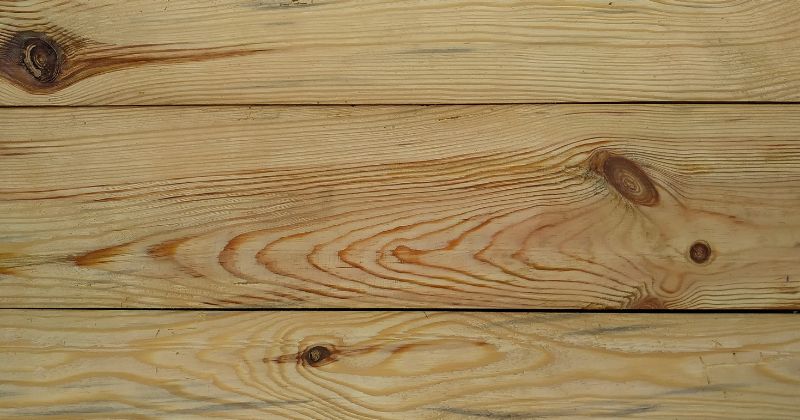 Best Timber for Outdoor Use Projects: Top 13 Timbers for Durability